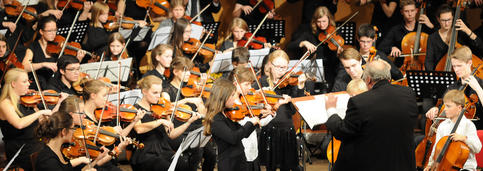 Mitgliedschaft | Haldern Strings e.V.